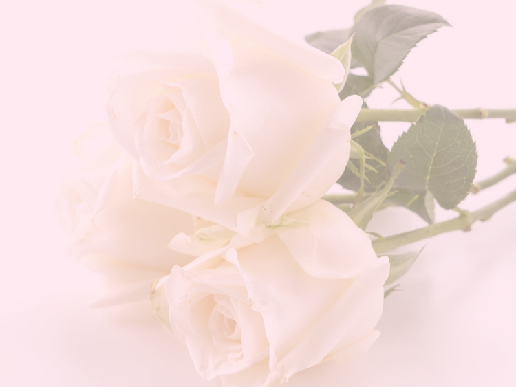 Blisssful Beauty Bar | Buy Luxurious Skincare & Body Care Products ...